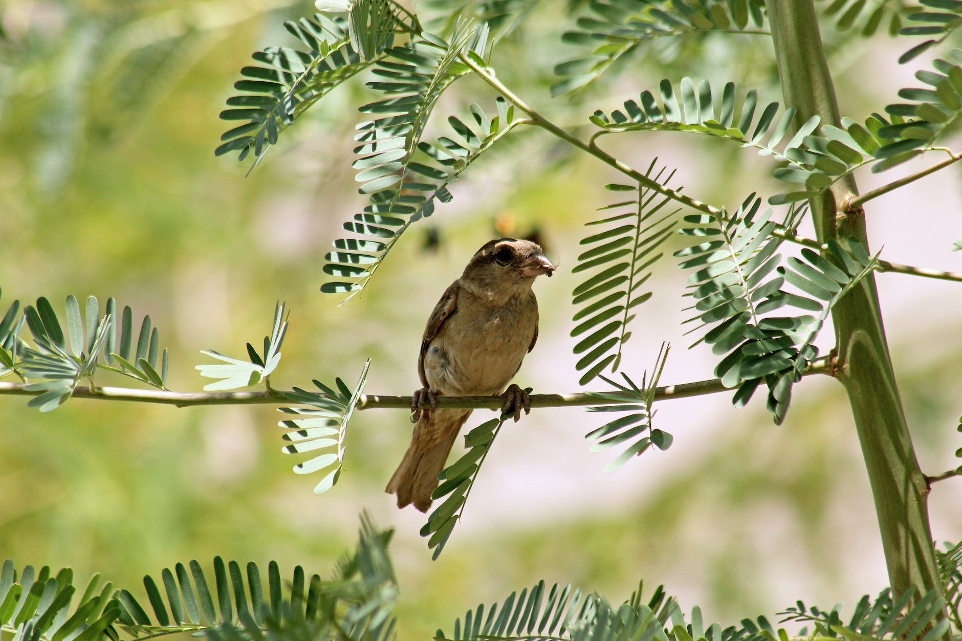 Amethyst Review – New Writing Engaging with the Sacred