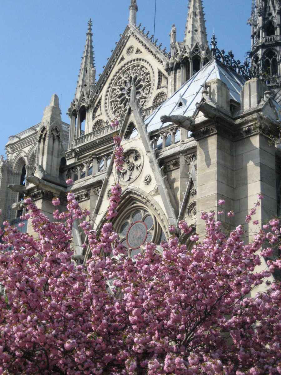 Springtime in Cologne – a poem by Martin Potter – Amethyst Review