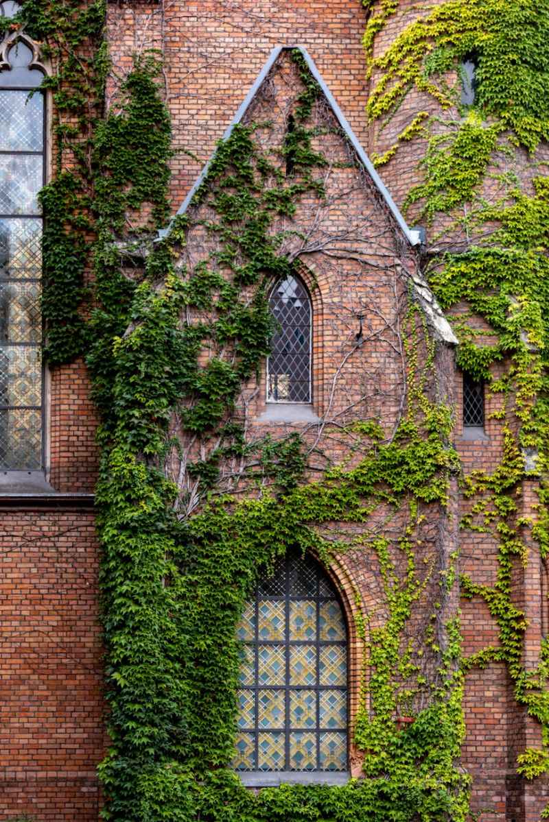 Pleshey – a poem by Jonathan Evens – Amethyst Review